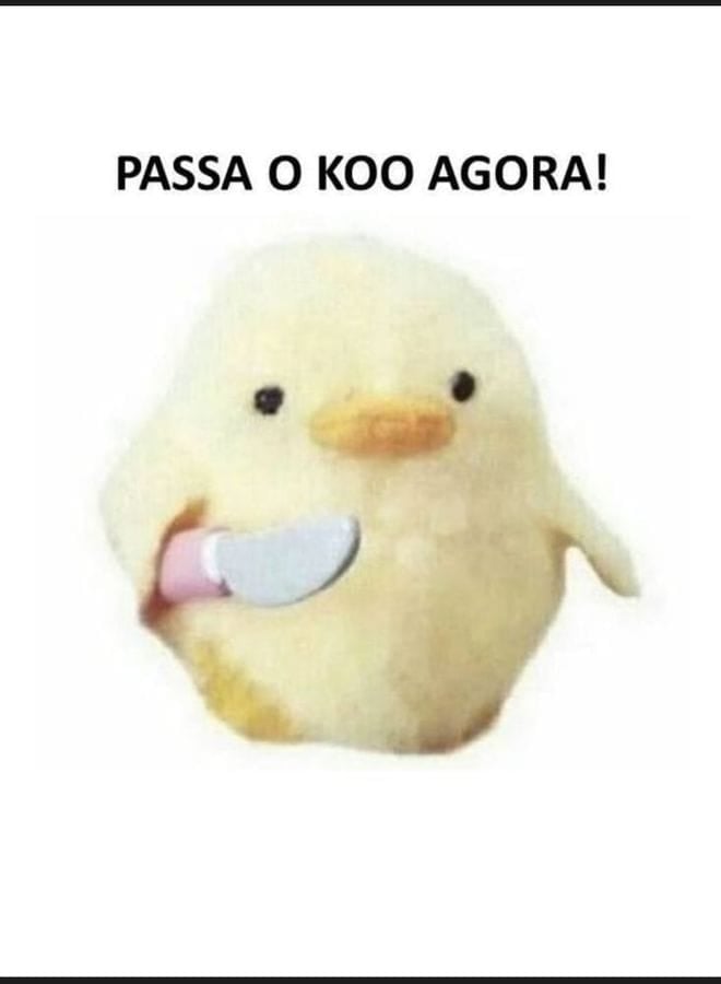 Já abriu seu Koo? Veja os memes com o nome da rede social