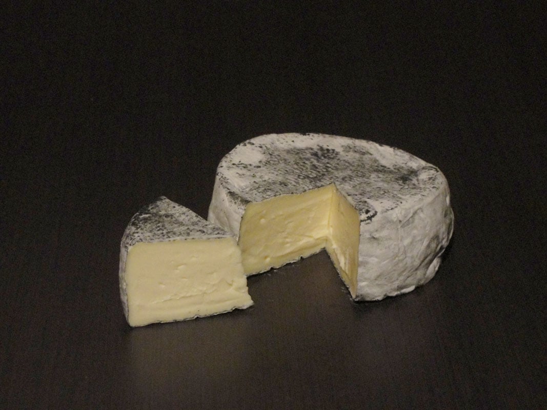 Queijo mineiro ganha prêmio máximo do World Cheese Awards