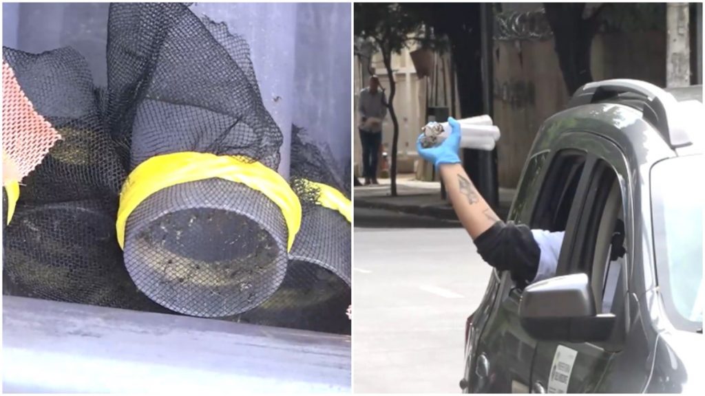 Entenda estratégia para combate a dengue em Belo Horizonte