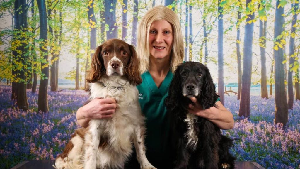 Veterinária descobre câncer de mama após cabeçada de cachorro