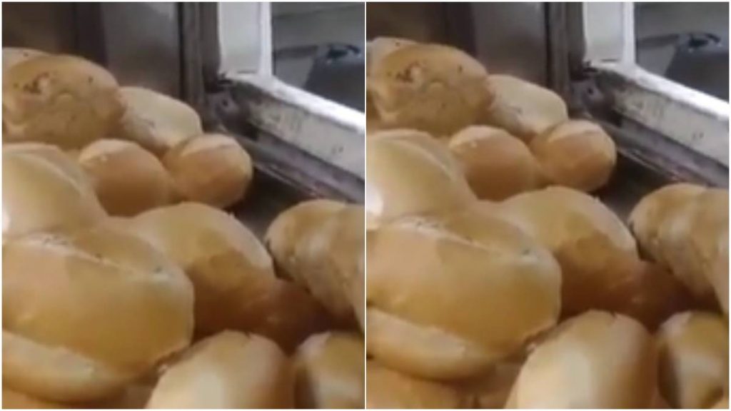 Cliente filma rato comendo pão em estufa de supermercado em BH