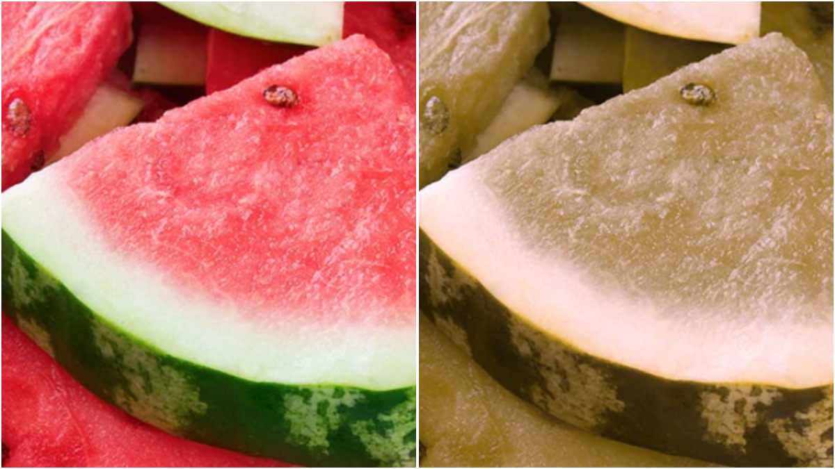 Menino daltônico chora ao ver todas cores pela primeira vez