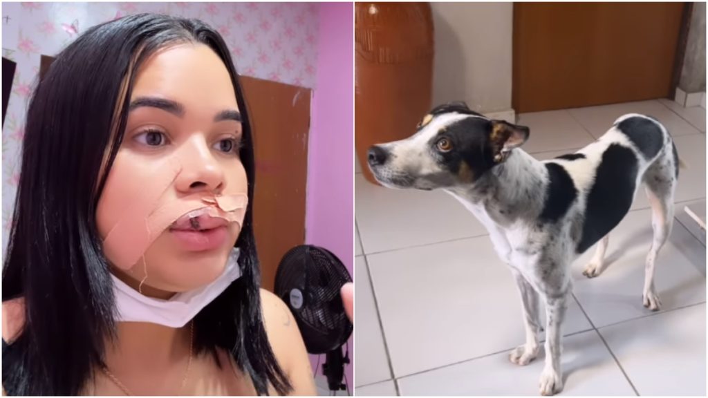 Influenciadora tenta beijar boca de cachorro e tem parte do lábio ...