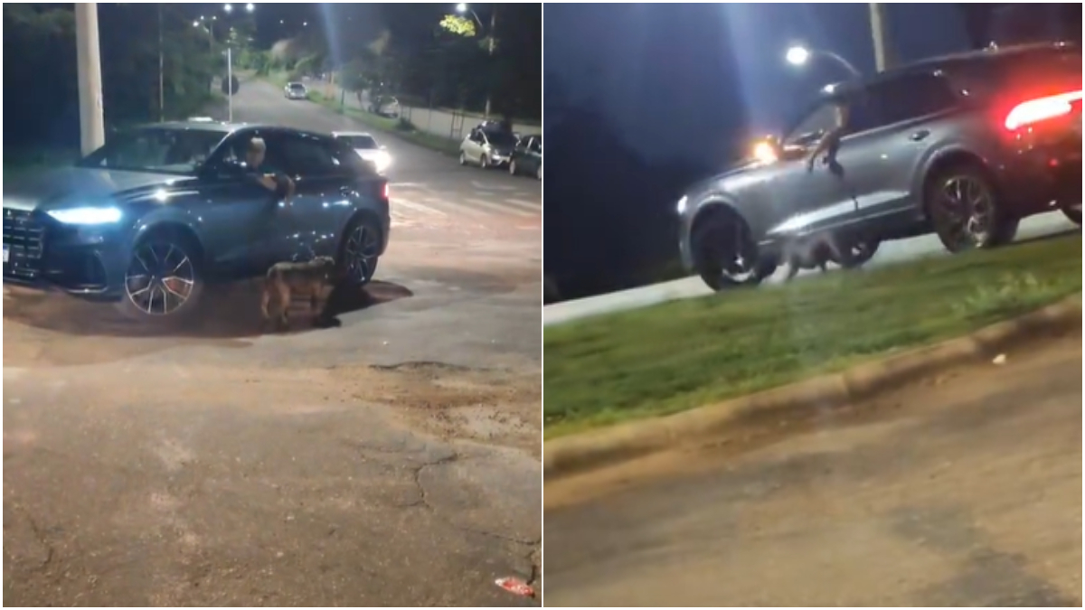 Pitbull ataca cão e dono puxa o animal pela janela de carro em BH