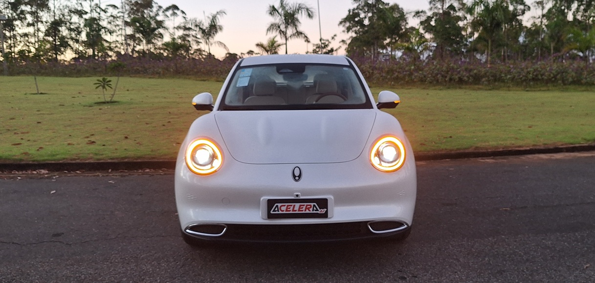 GWM Ora 3 Skin 2025 está falando melhor o português