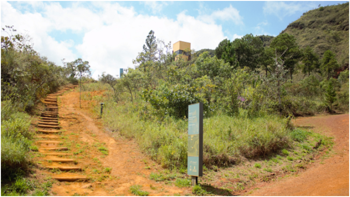 Parque da Serra do Curral, em BH, terá trilha guiada no sábado