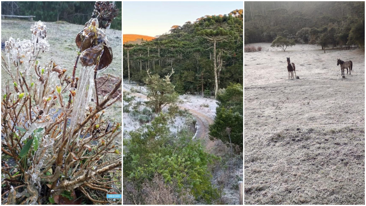 Delfim Moreira vira 'Frozen' com paisagem deslumbrante; veja fotos